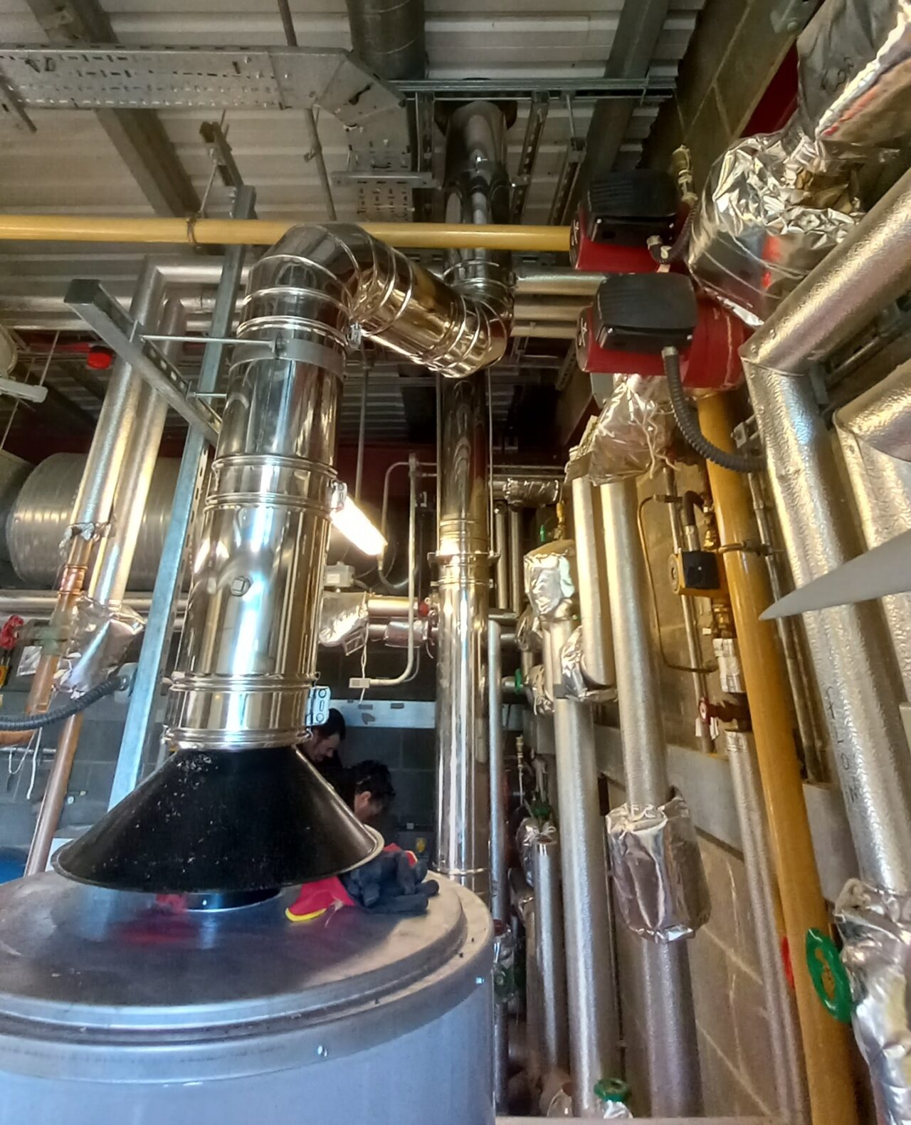 Atmospheric Boilers - A1 Flues System